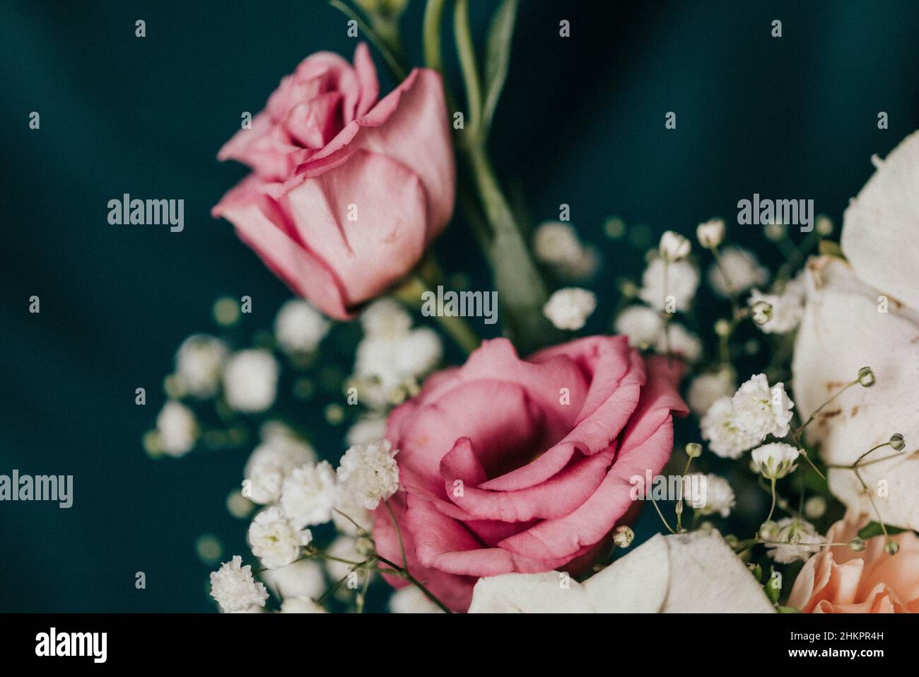 Spring inspired texture hi-res stock photography and images - Alamy