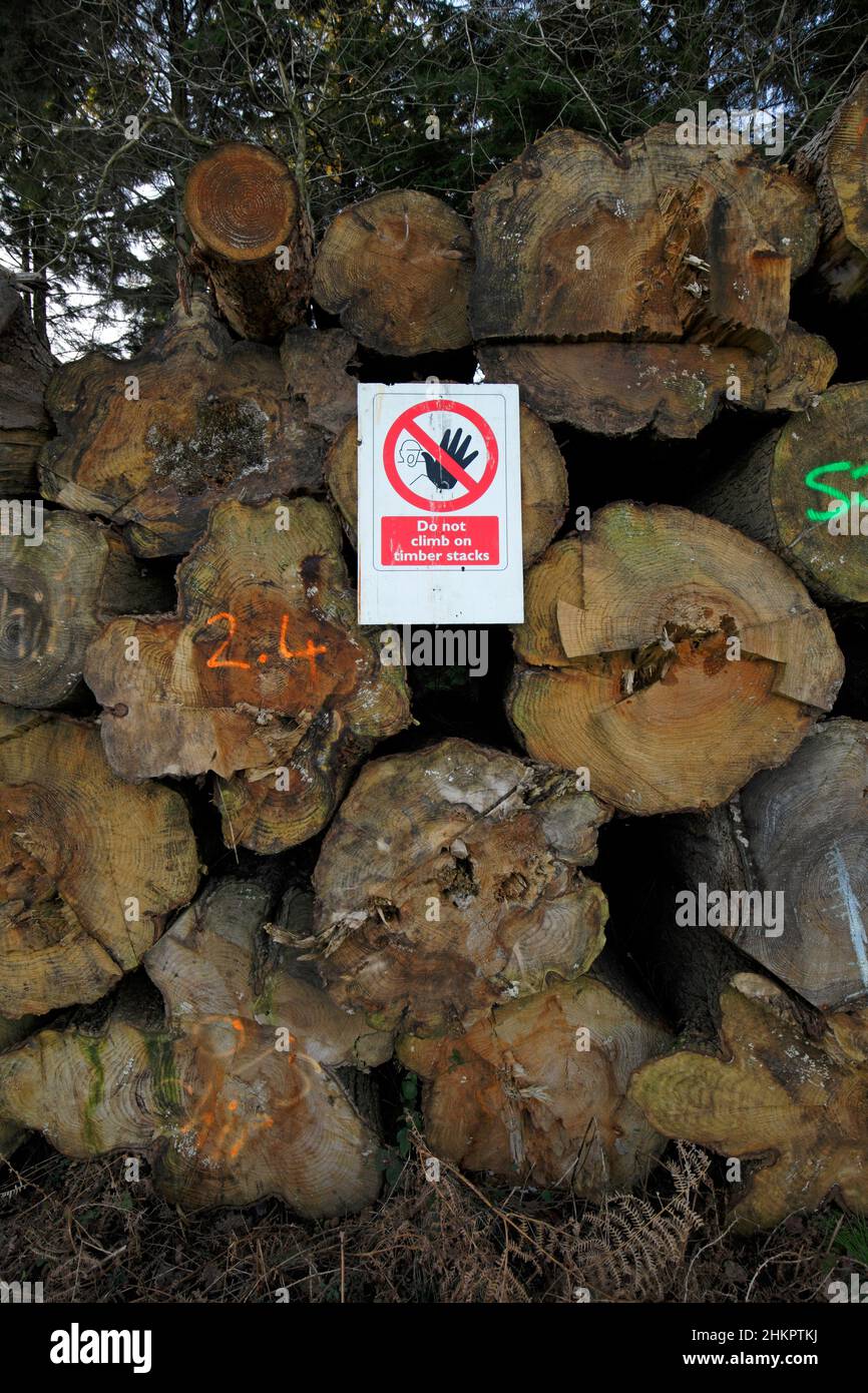 Danger signs on fresh cut timber stacks in the Forest of Dean. Labelled ...