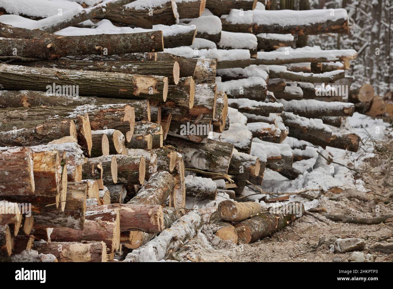 Logging operation hi-res stock photography and images - Alamy