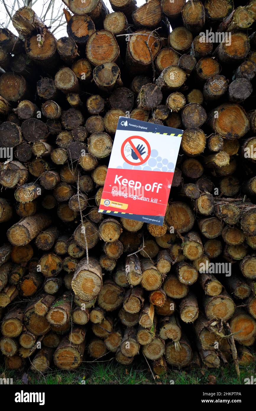 Danger signs on fresh cut timber stacks in the Forest of Dean. Labelled ...