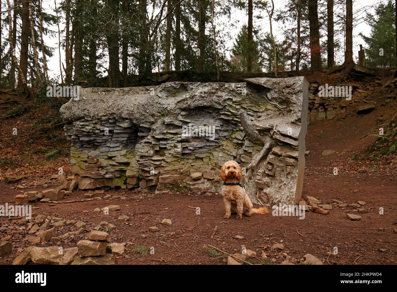 Echo Annie Cattrell 2008. A Forest of Dean Sculpture trail exhibit with ...