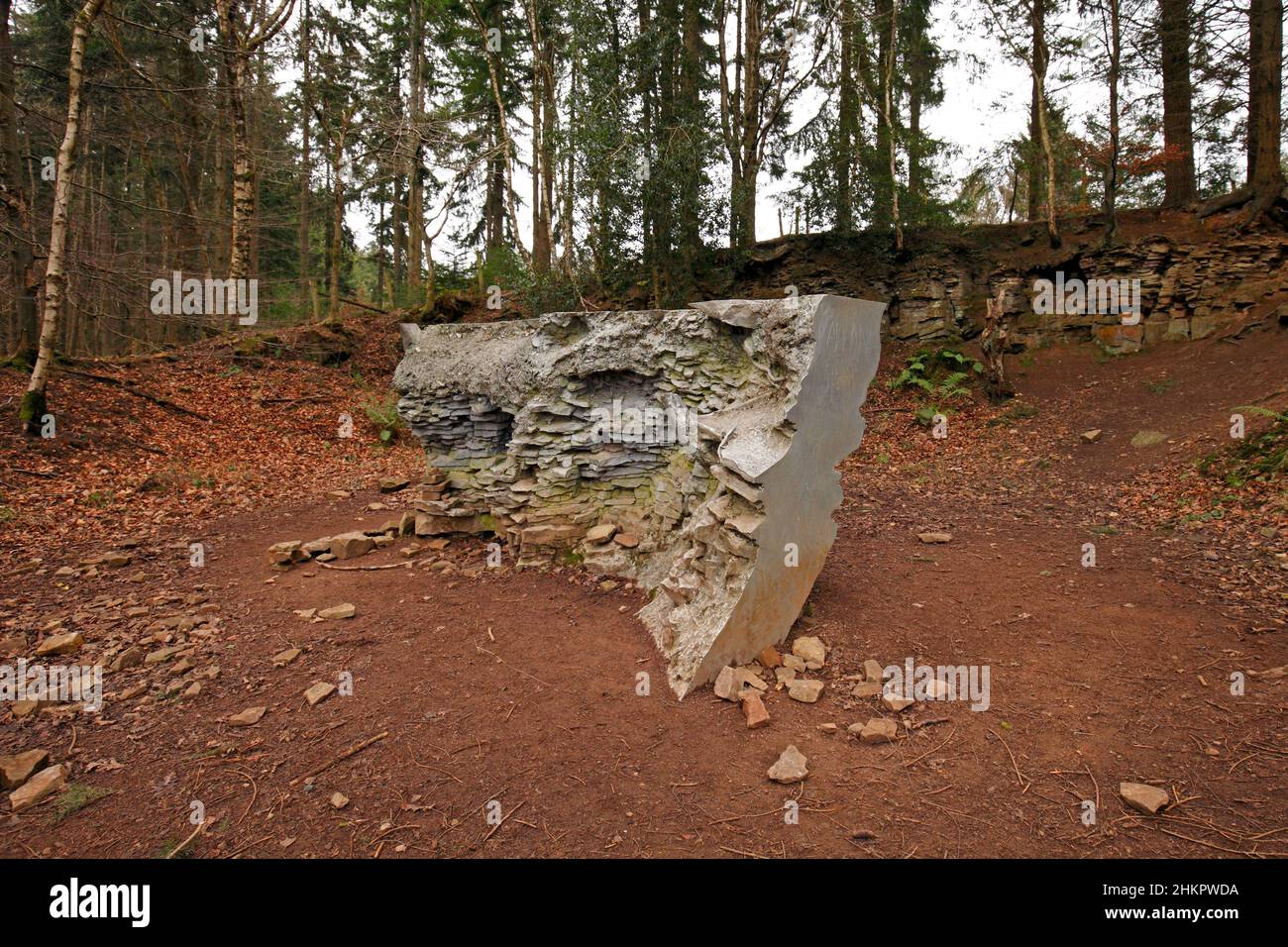 Echo Annie Cattrell 2008. A Forest of Dean Sculpture trail exhibit with ...