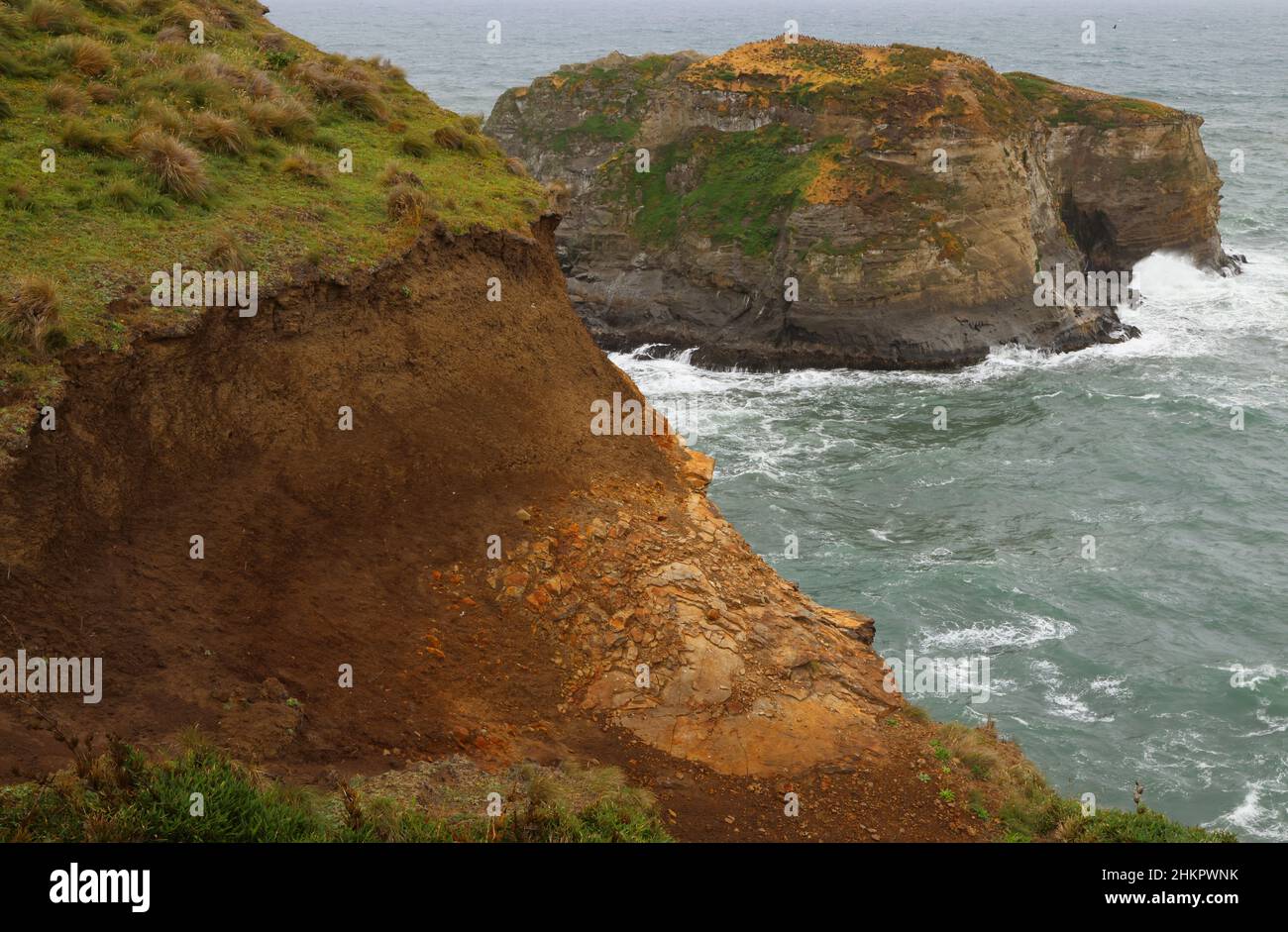 The rocky ocean coast in Chiloe Island, Chile Stock Photo - Alamy