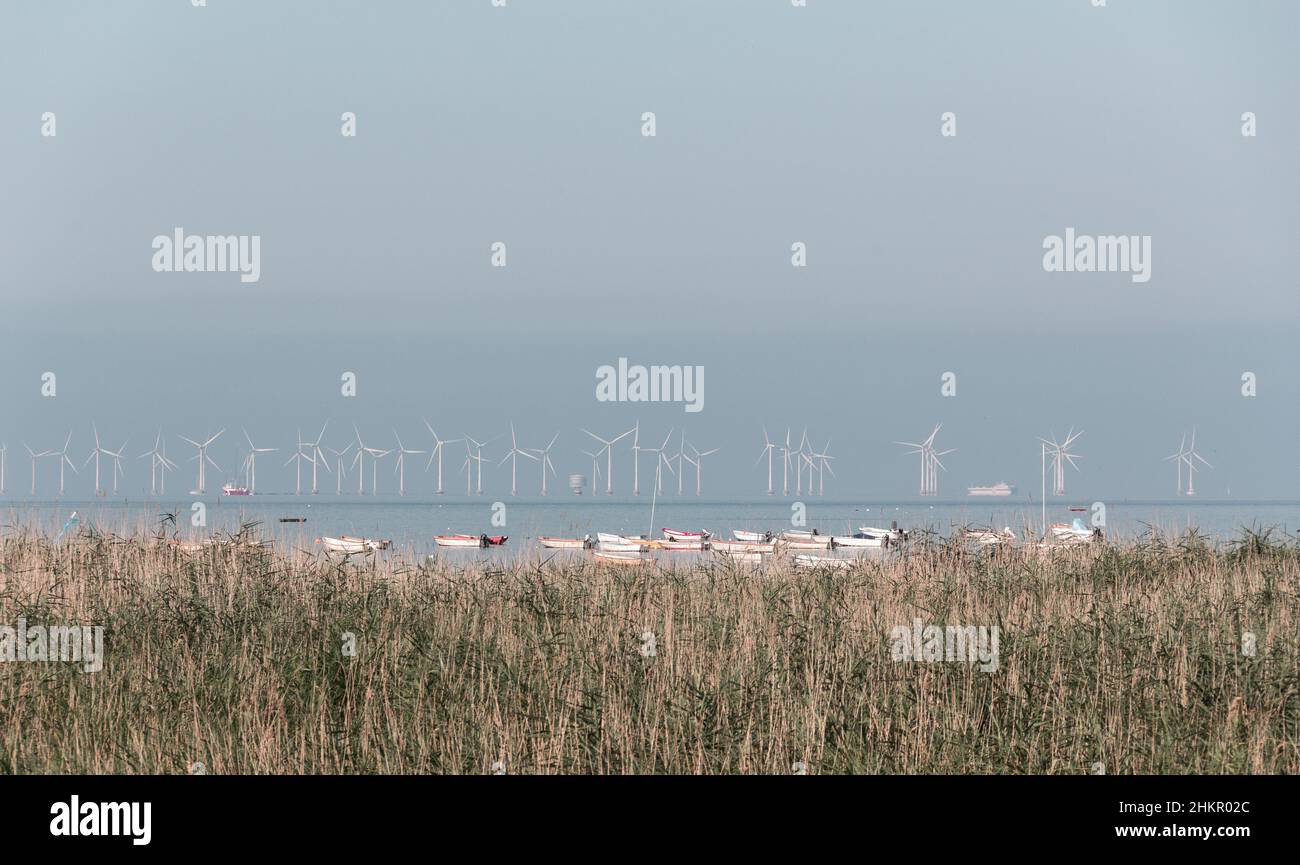Lillgrund wind turbine park in Öresund Stock Photo - Alamy