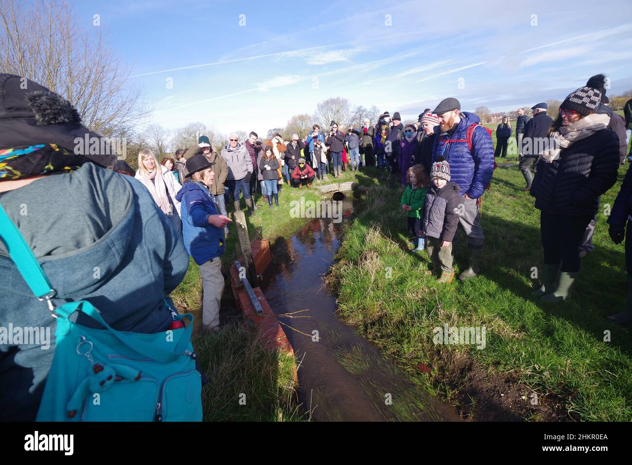 Harnham Water Meadows overlooked by Salisbury Cathedral are probably ...