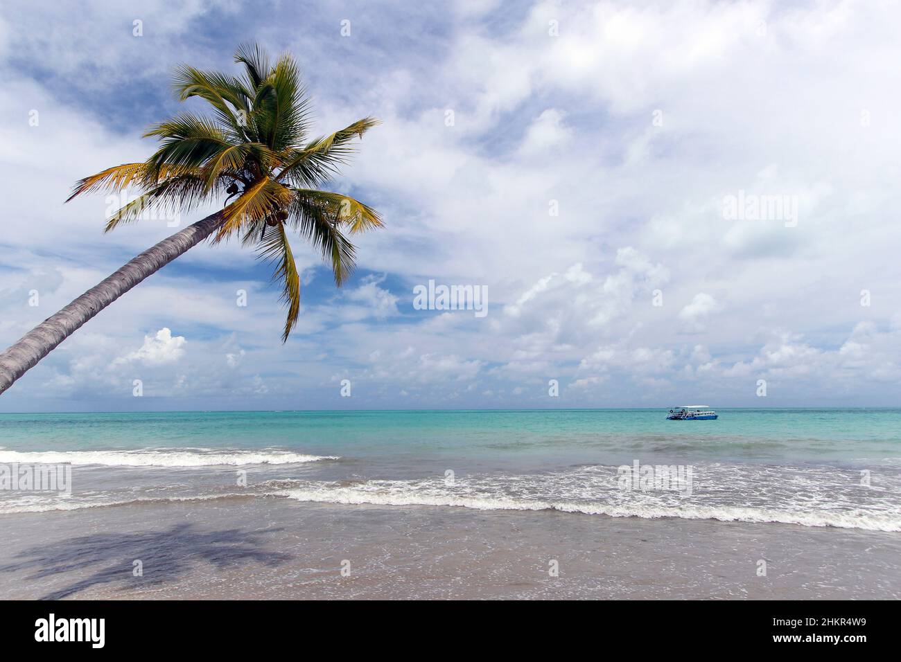 beautiful coconut tree by the sea and beautiful day - vacation concept ...