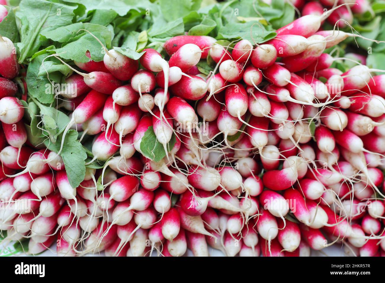 Fresh farm food round hi-res stock photography and images - Alamy