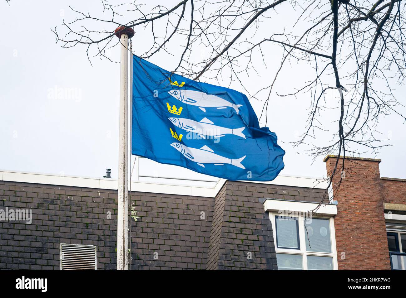 Blue flag of the fishing village of Scheveningen in The Netherlands ...