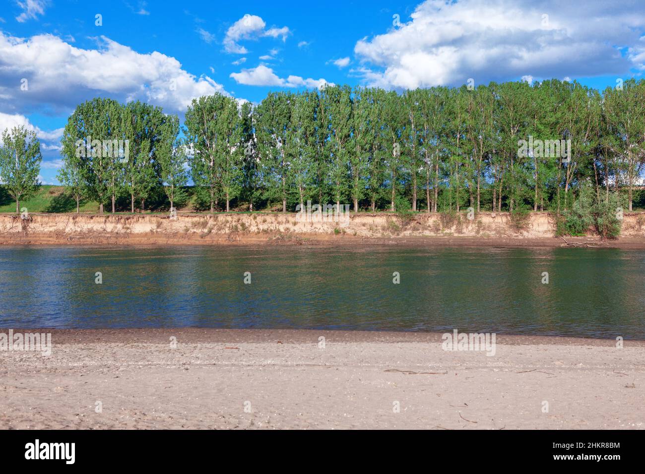 Riverside treelined . Trees growing in a row on the river shore Stock ...