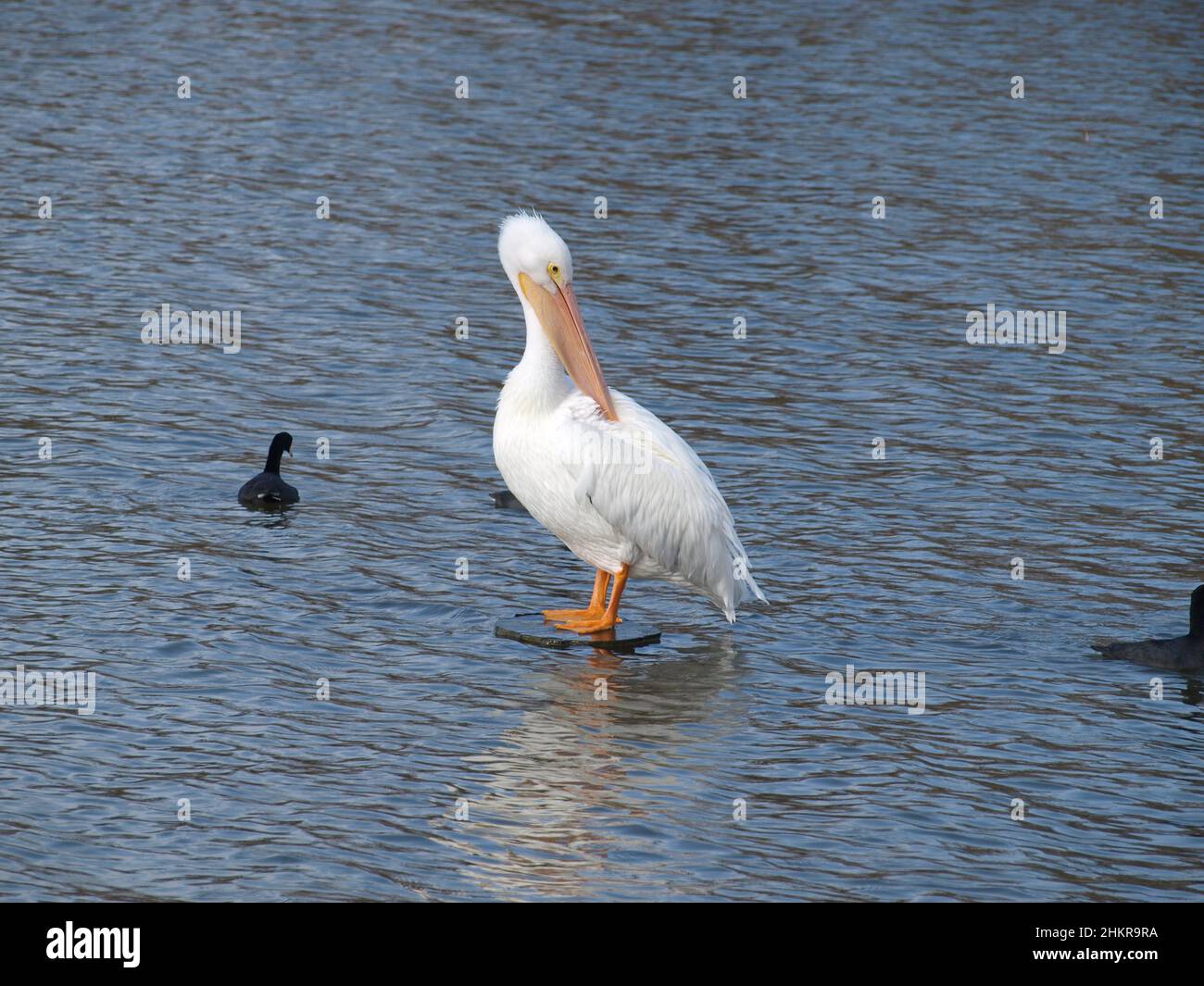 Growth in North Dallas strains roads,cell service, new housing ...