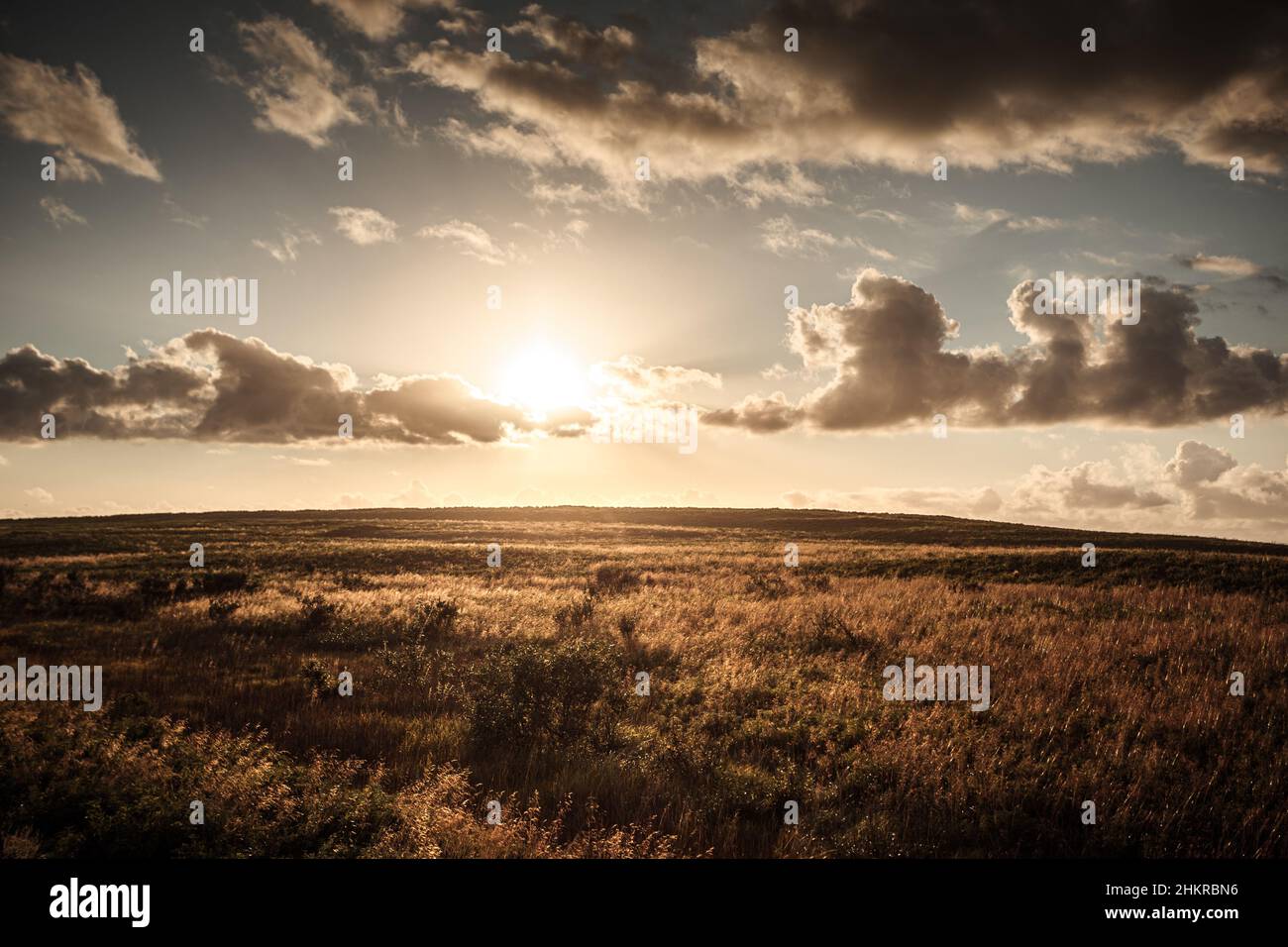 Beautiful shot field sunset hi-res stock photography and images - Alamy