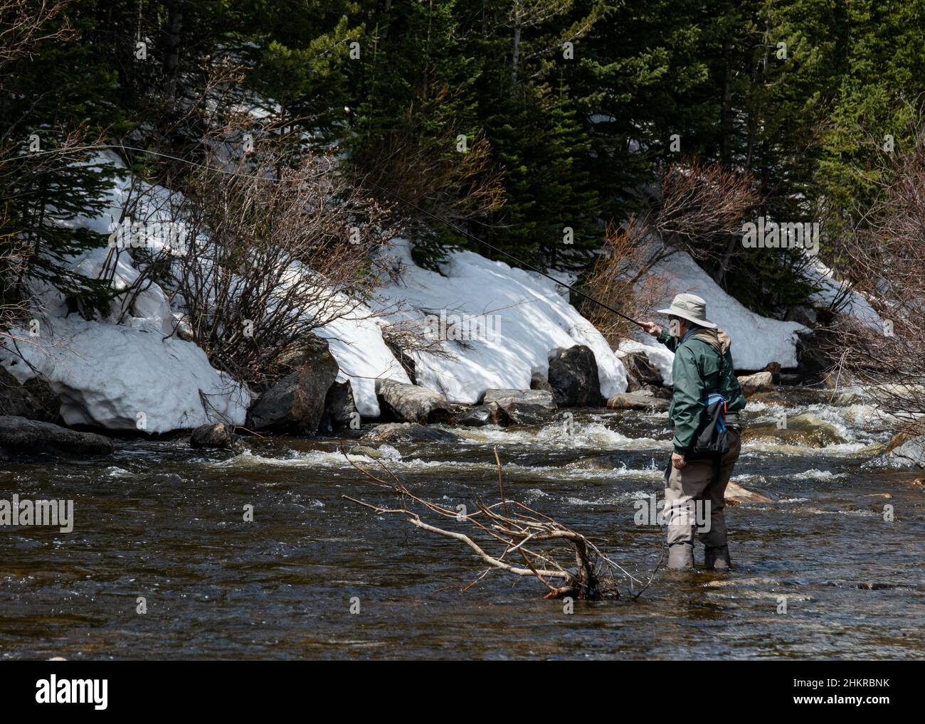Lonely fisherman standing fishing in the river surrounded by trees ...