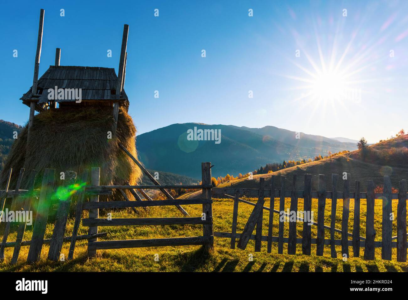 Traditional haystack of dry yellow hay under wooden roof built with ...