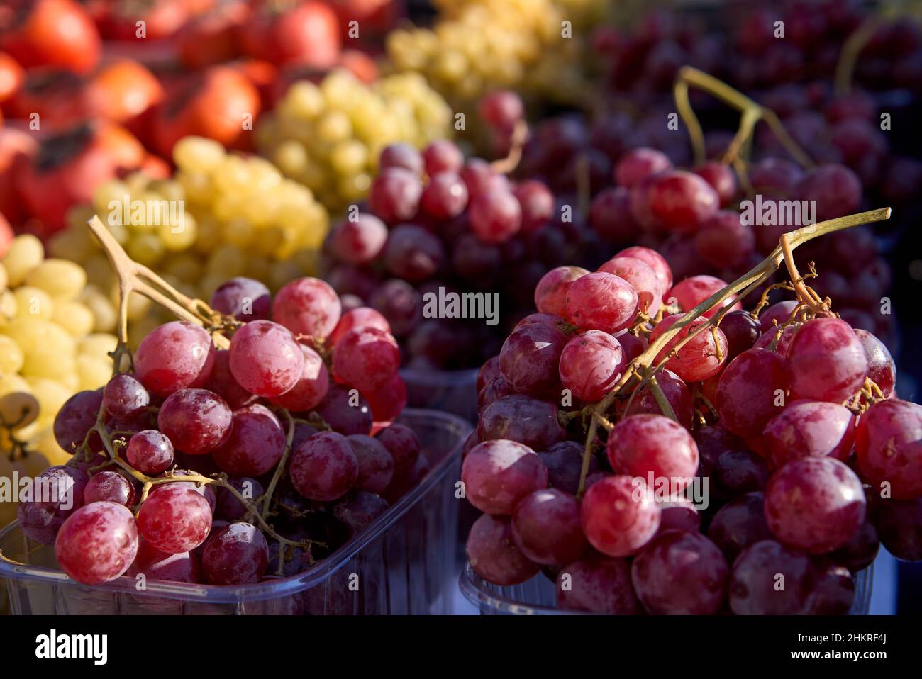 Grapes close-up. Selective and soft focus. Ripe and juicy grapes are ...