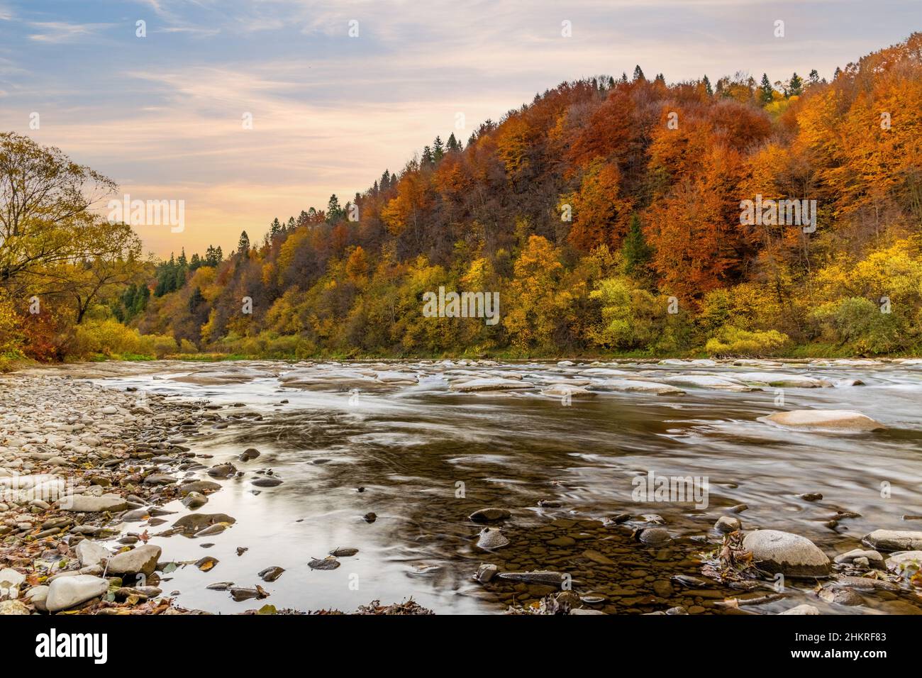 High rocky cliffs among lush yellowed trees growing near mountain river ...