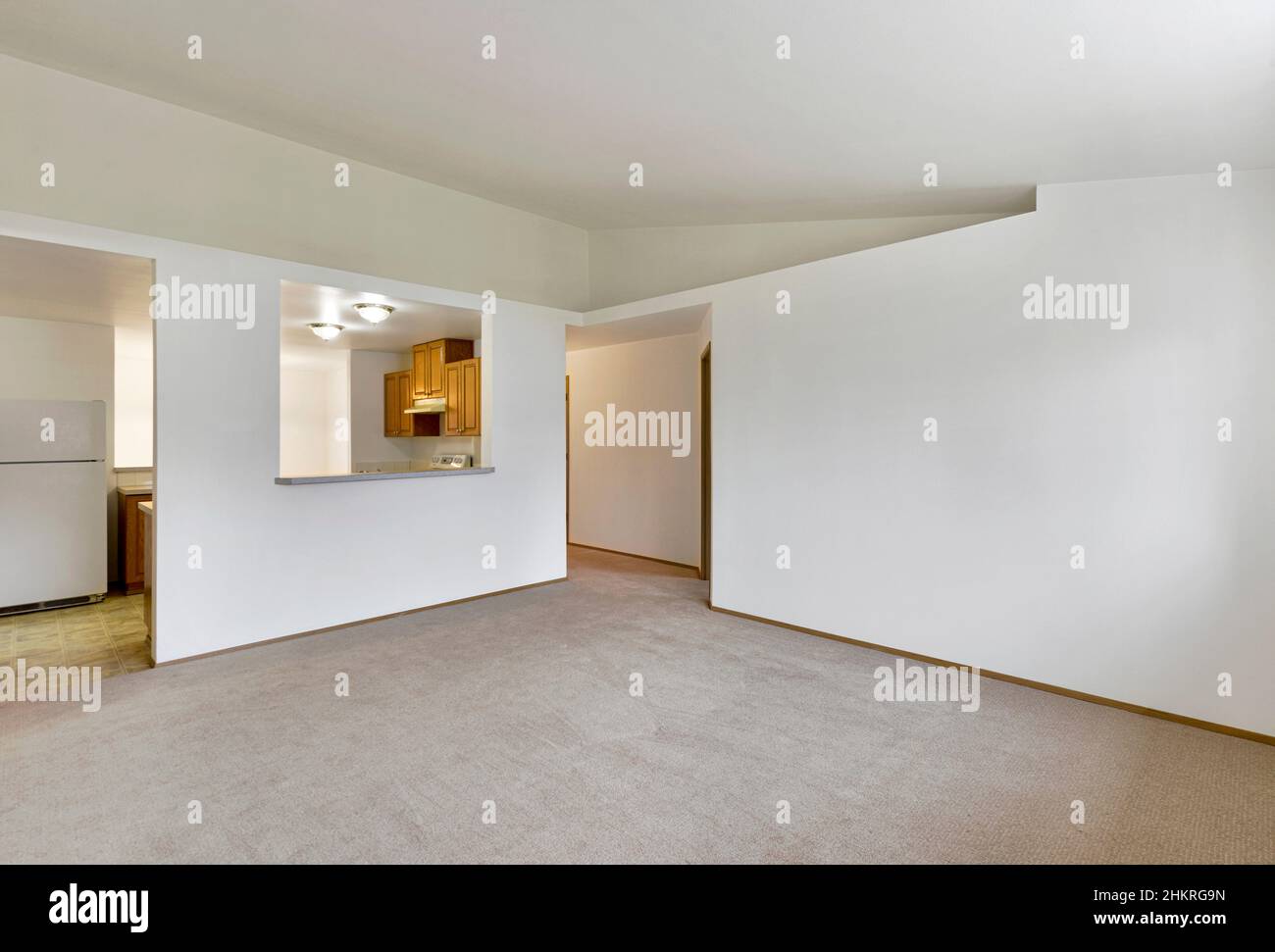 Modern residential empty living room interior Stock Photo - Alamy