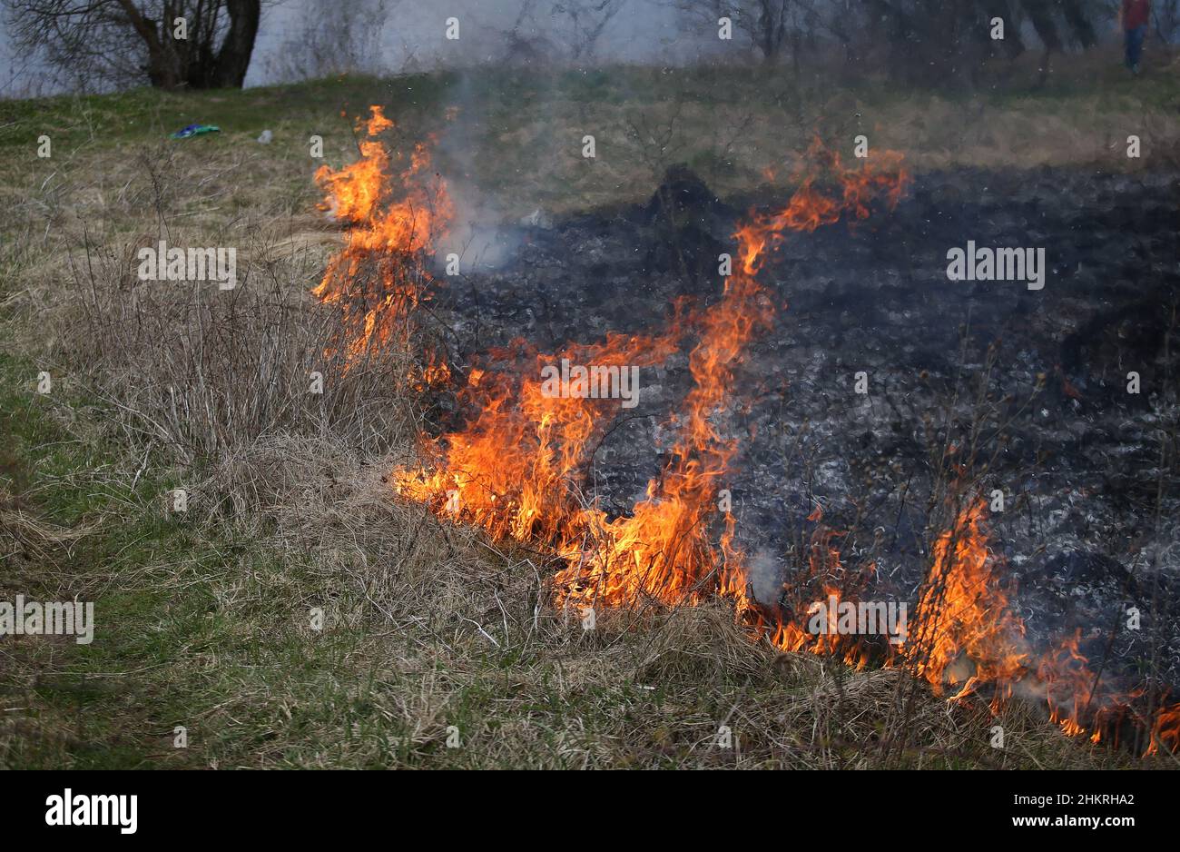 A grass fire or bush fire in the wild Stock Photo - Alamy