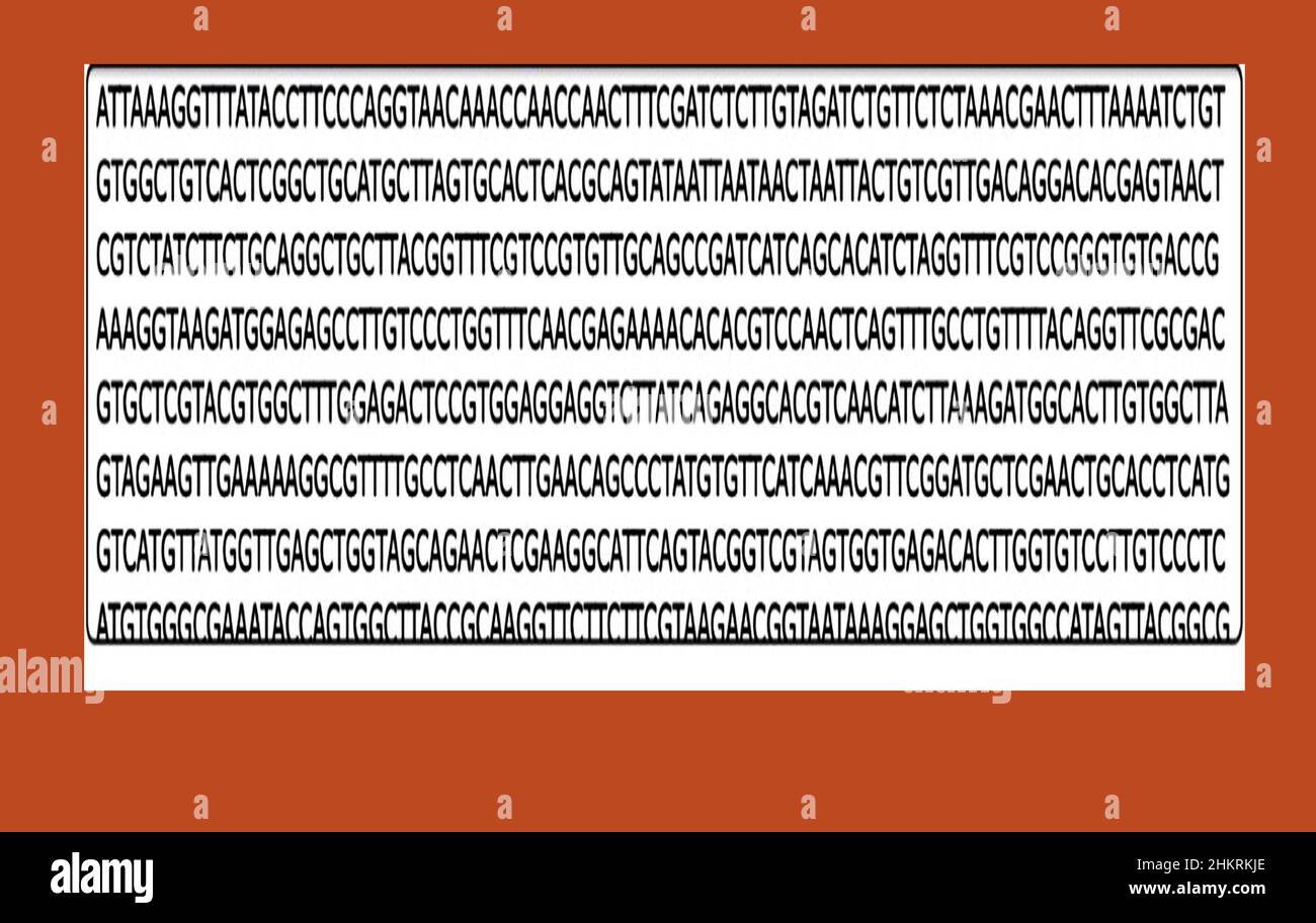 Universal building code hi-res stock photography and images - Alamy