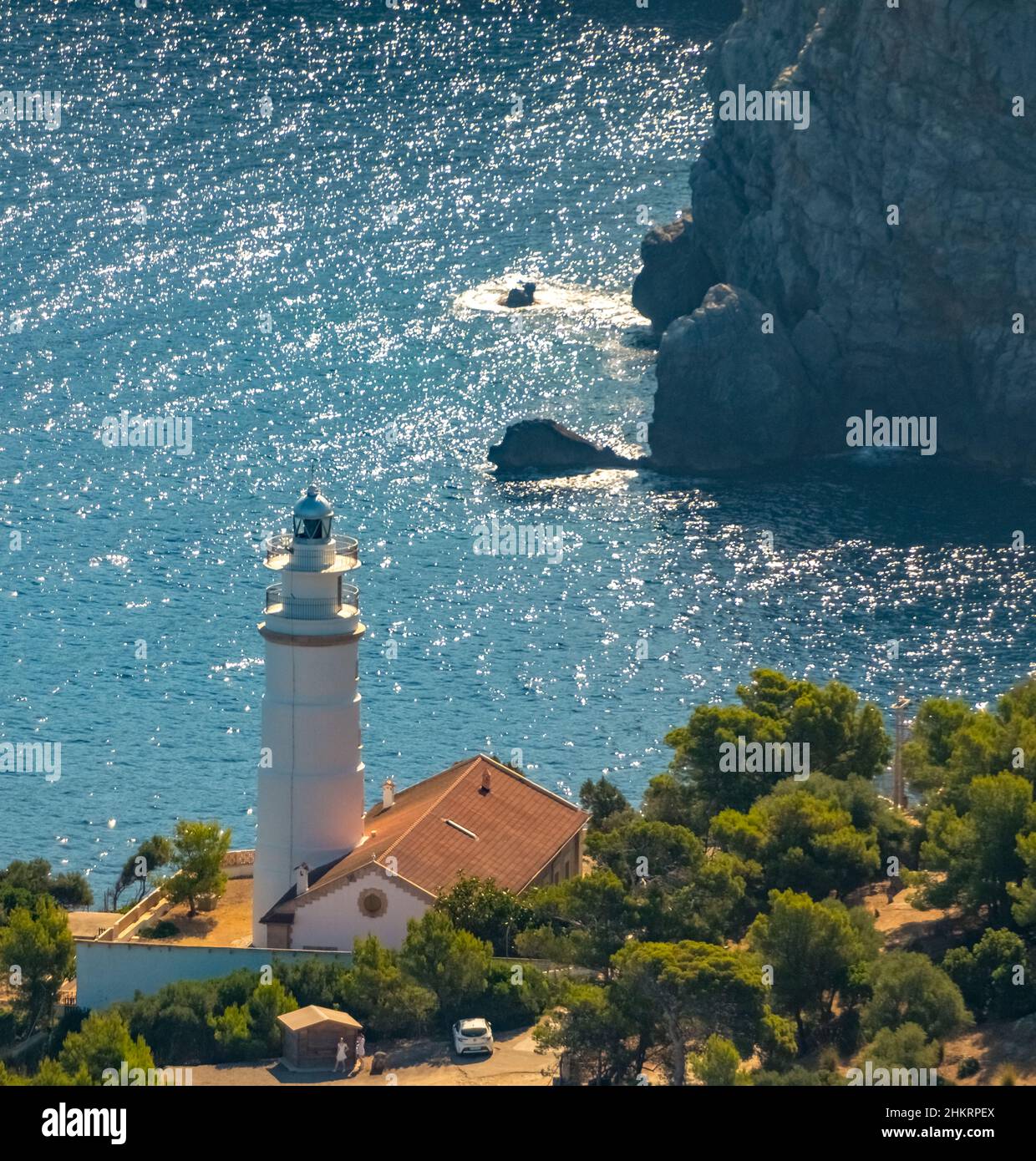 Spain birds of europe hi-res stock photography and images - Alamy