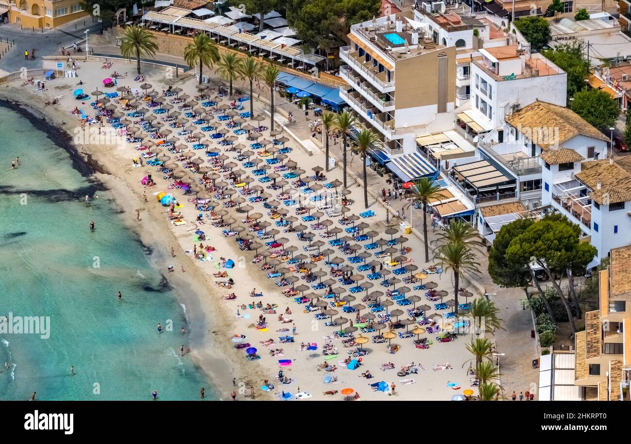 Aerial view, Paguera beach, beach umbrellas, full beach, restaurant by ...