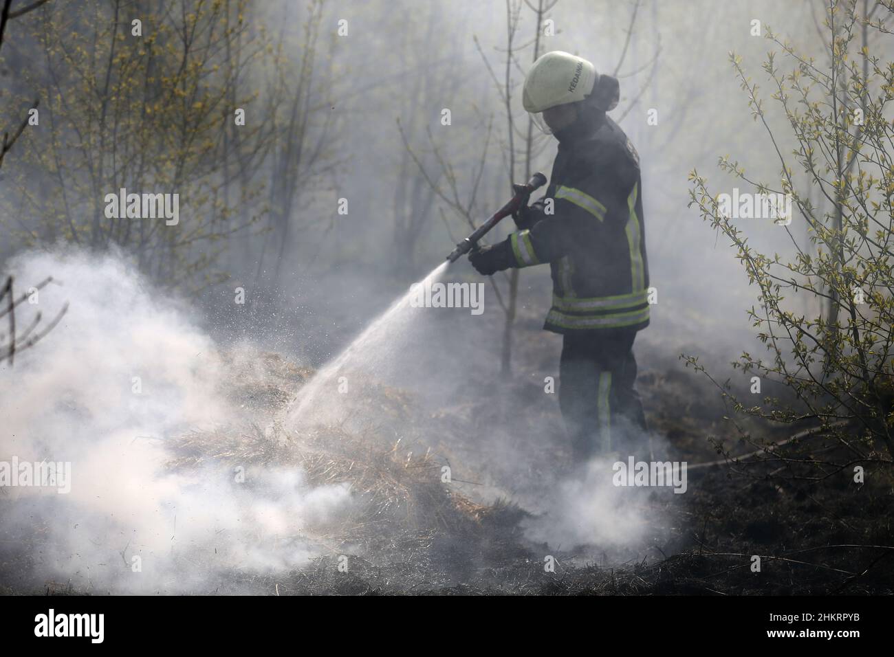 Raging forest spring fires. Burning dry grass, reed along lake. Grass ...