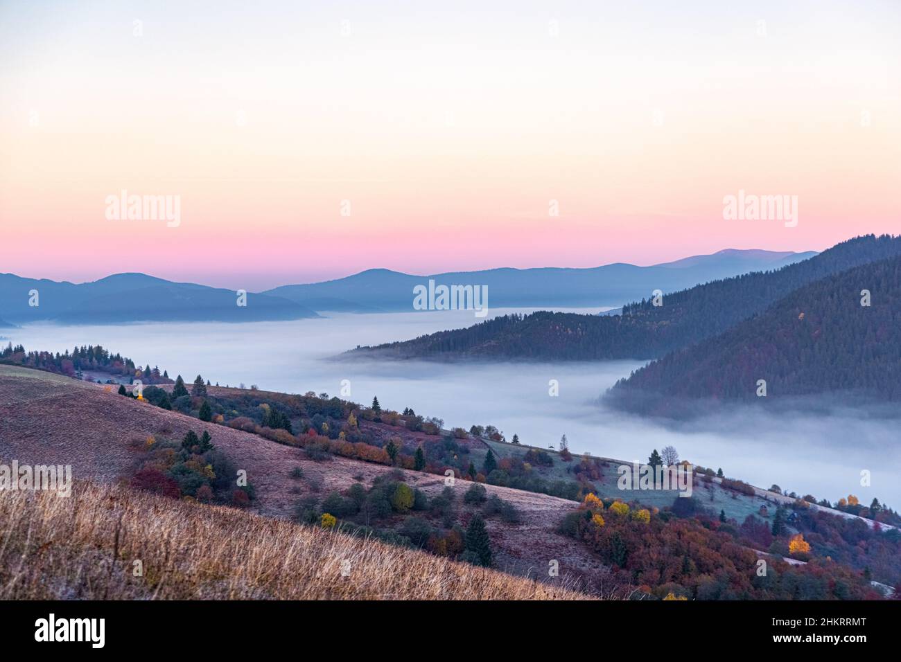 High hill with lush colorful trees and dry yellow grass against deep ...