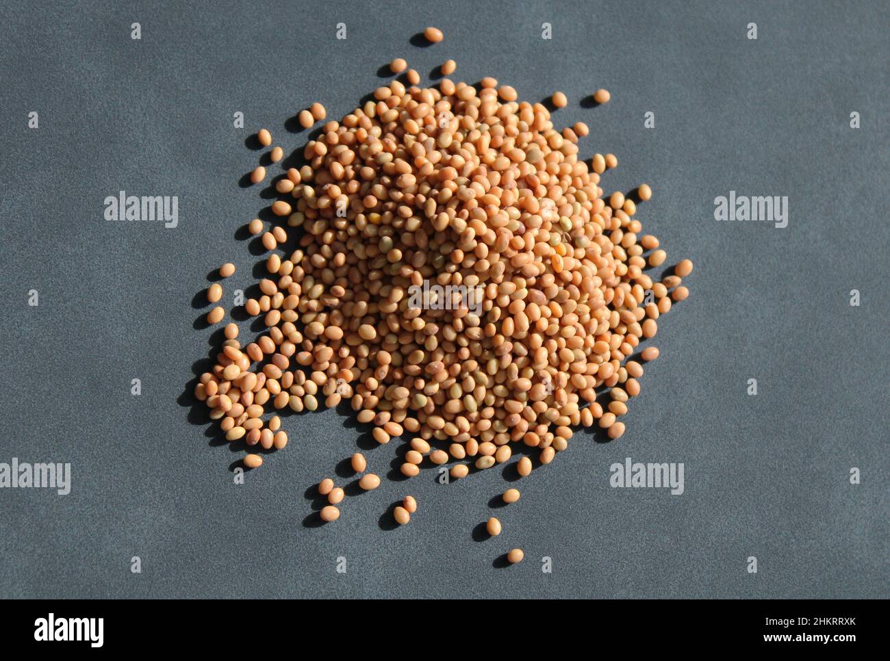 A Pile of Dried Crimson Clover Seeds Stock Photo - Alamy