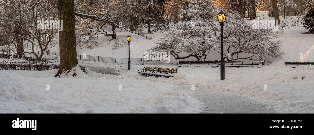 Central Park in winter after snow storm, early morning Stock Photo - Alamy