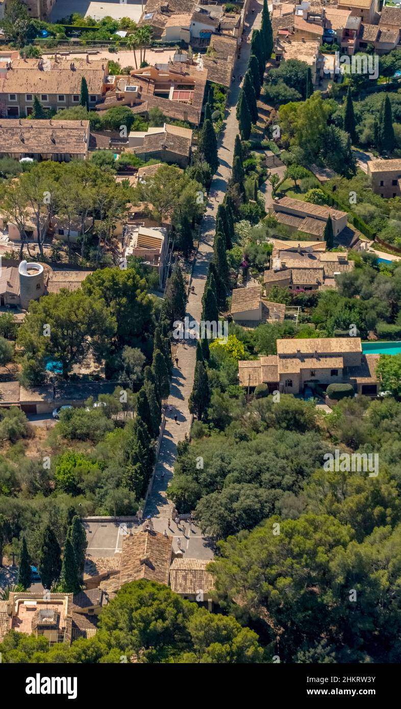 Birds in mallorca hi-res stock photography and images - Alamy