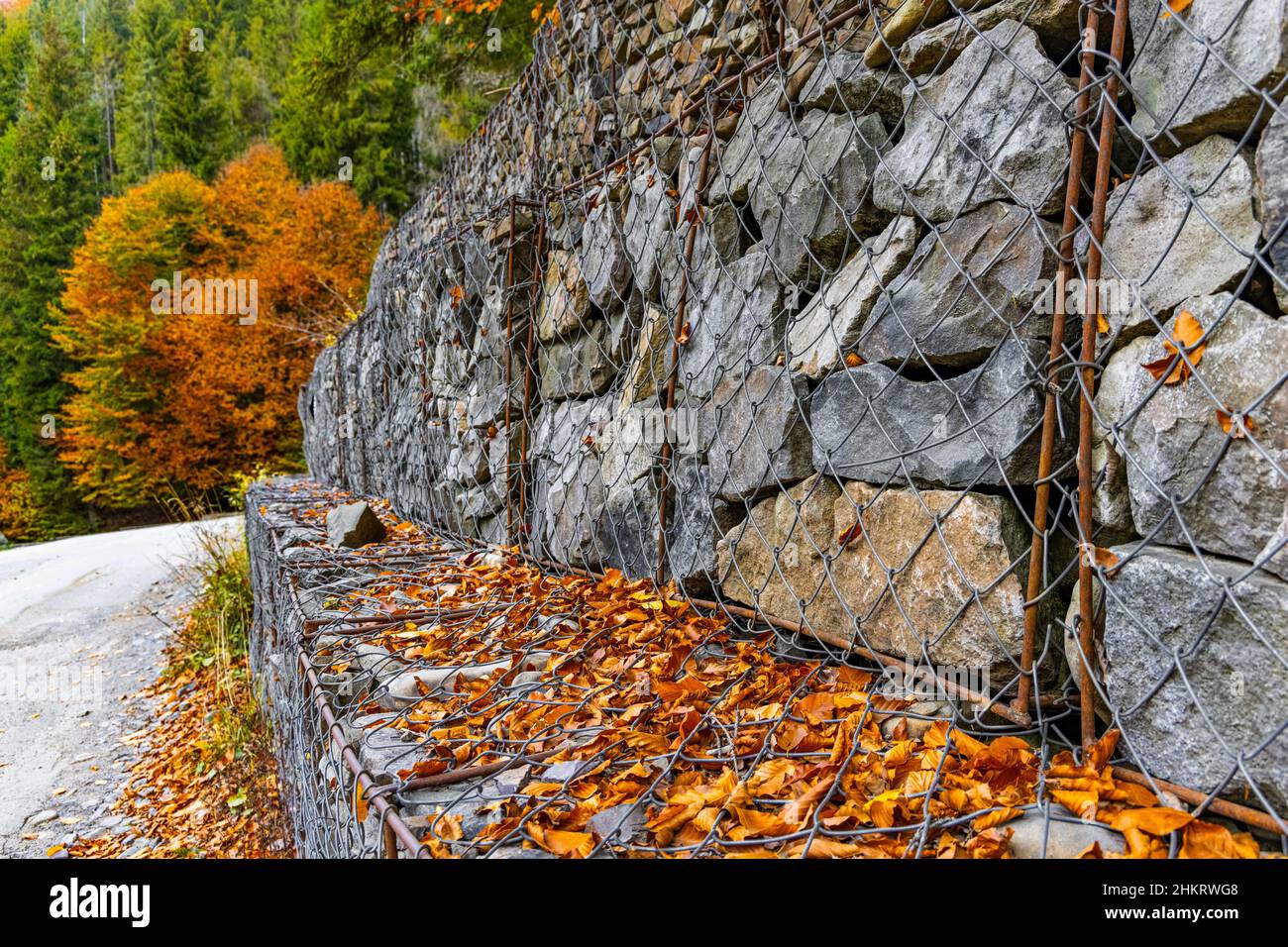 Solid, sturdy stone hedge near a small narrow asphalt road covered with ...
