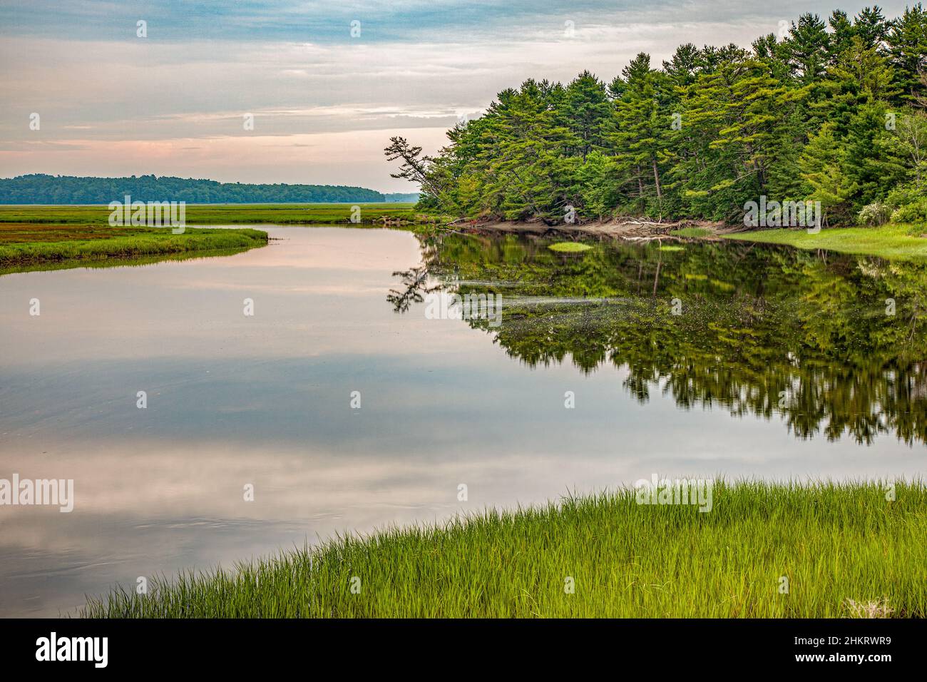 Summer day on marsh hi-res stock photography and images - Alamy