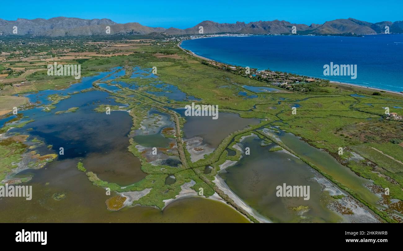 Aerial view, nature reserve and bird sanctuary s'Albufereta, Alcúdia ...
