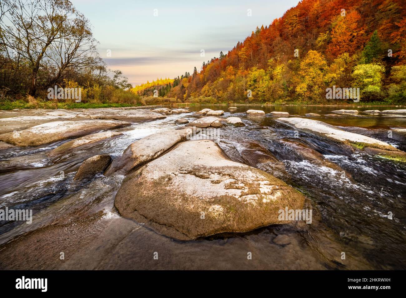 Mountain river wild stone bank with rapids against colorful trees ...