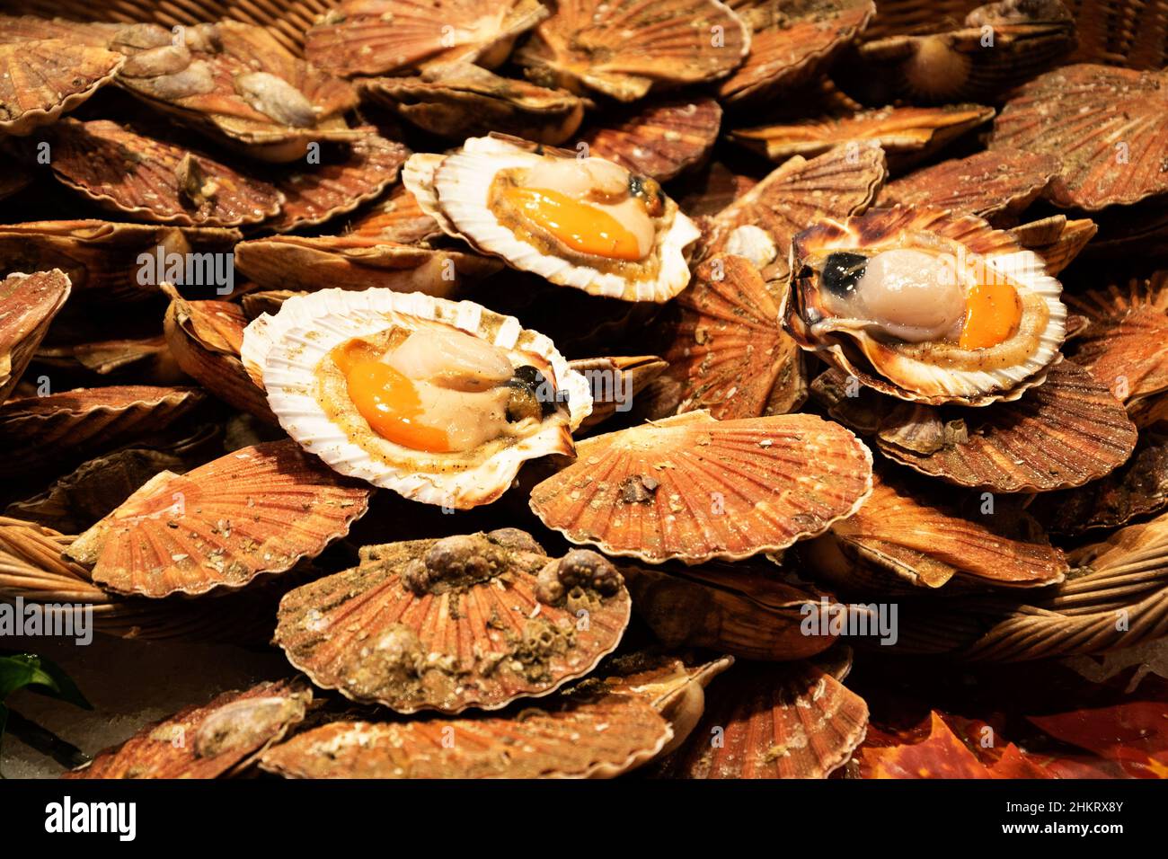 Fresh scallops for sale at fish market in France. Seafood has important ...