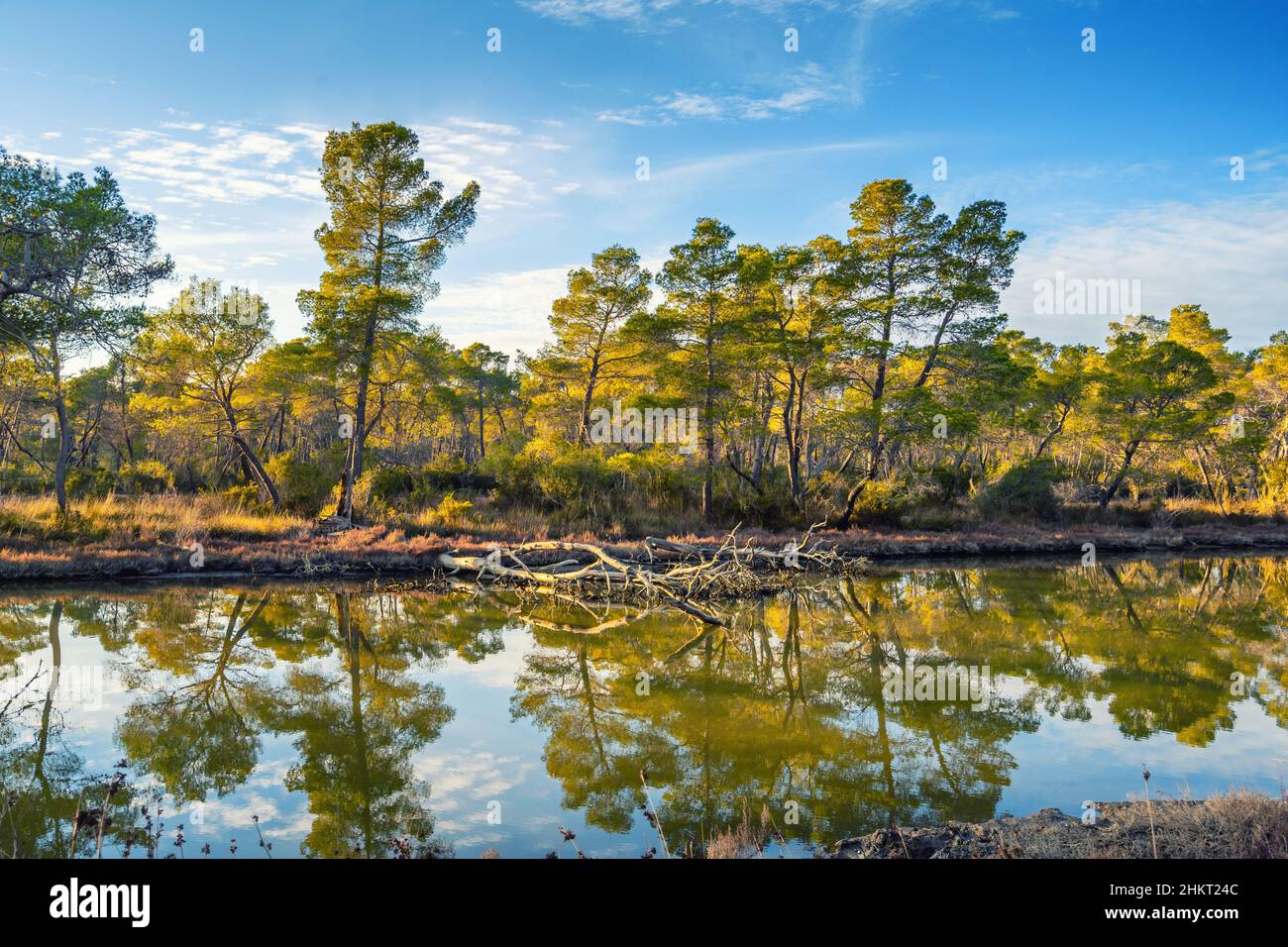 Divjaka national park hi-res stock photography and images - Alamy