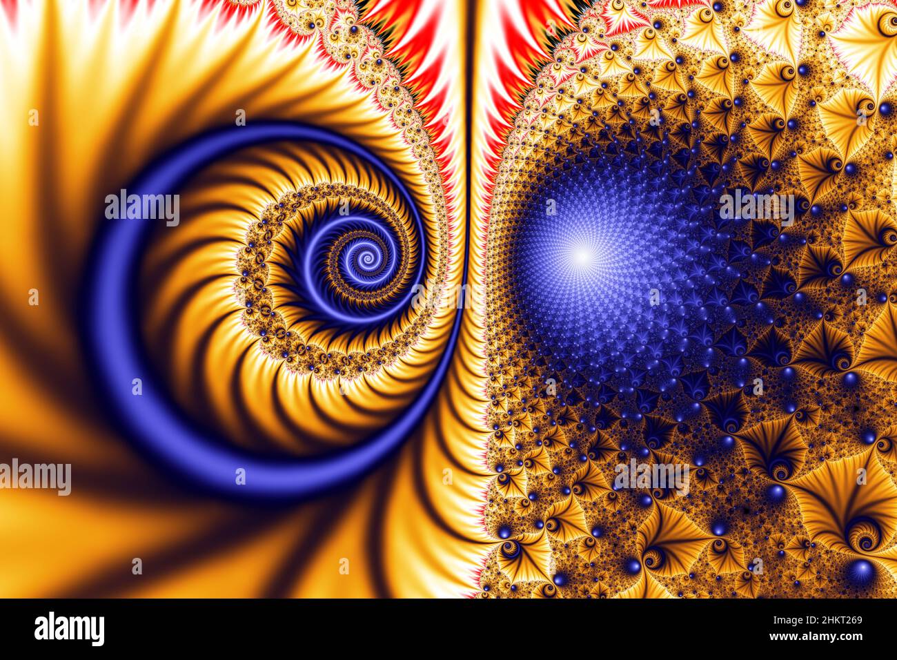 Floral patterns found in the infinite mathematical mandelbrot set ...