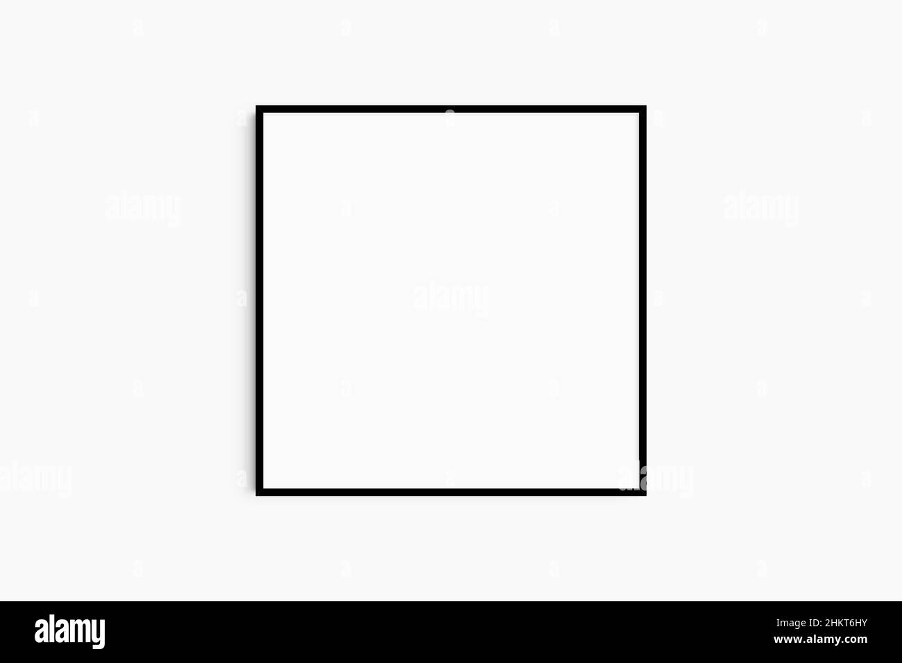 1x1 aspect ratio Cut Out Stock Images & Pictures - Alamy