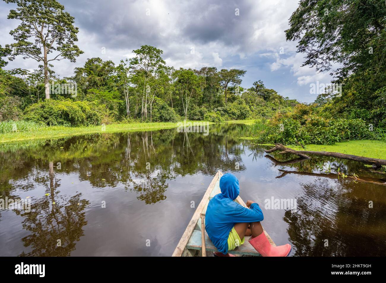 canoe trip on a river in the Amazon forest Stock Photo - Alamy