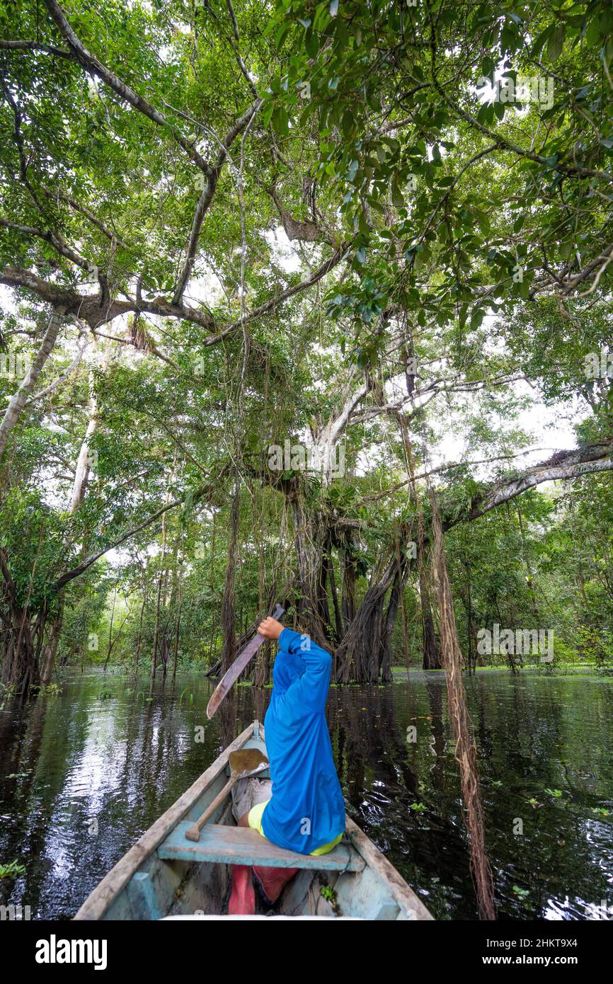 canoe trip on a river in the Amazon forest Stock Photo - Alamy