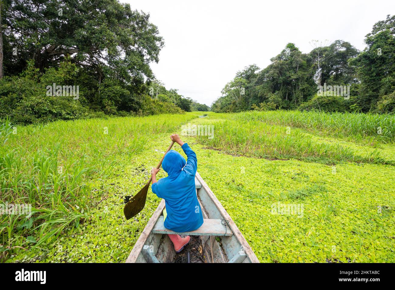canoe trip on a river in the Amazon forest Stock Photo - Alamy