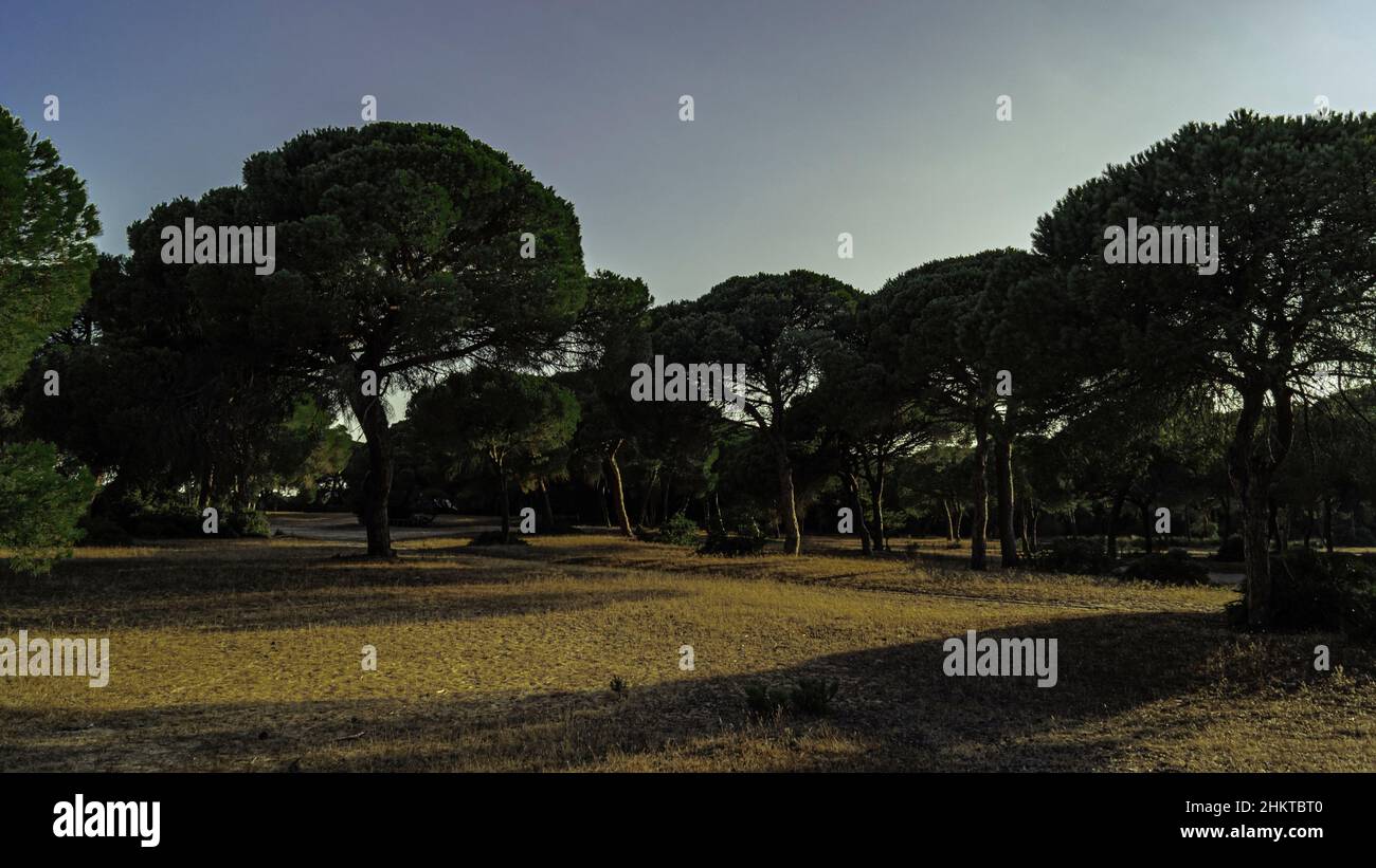 Donana National Park in Spain A UNESCO World Heritage Site Stock Photo ...