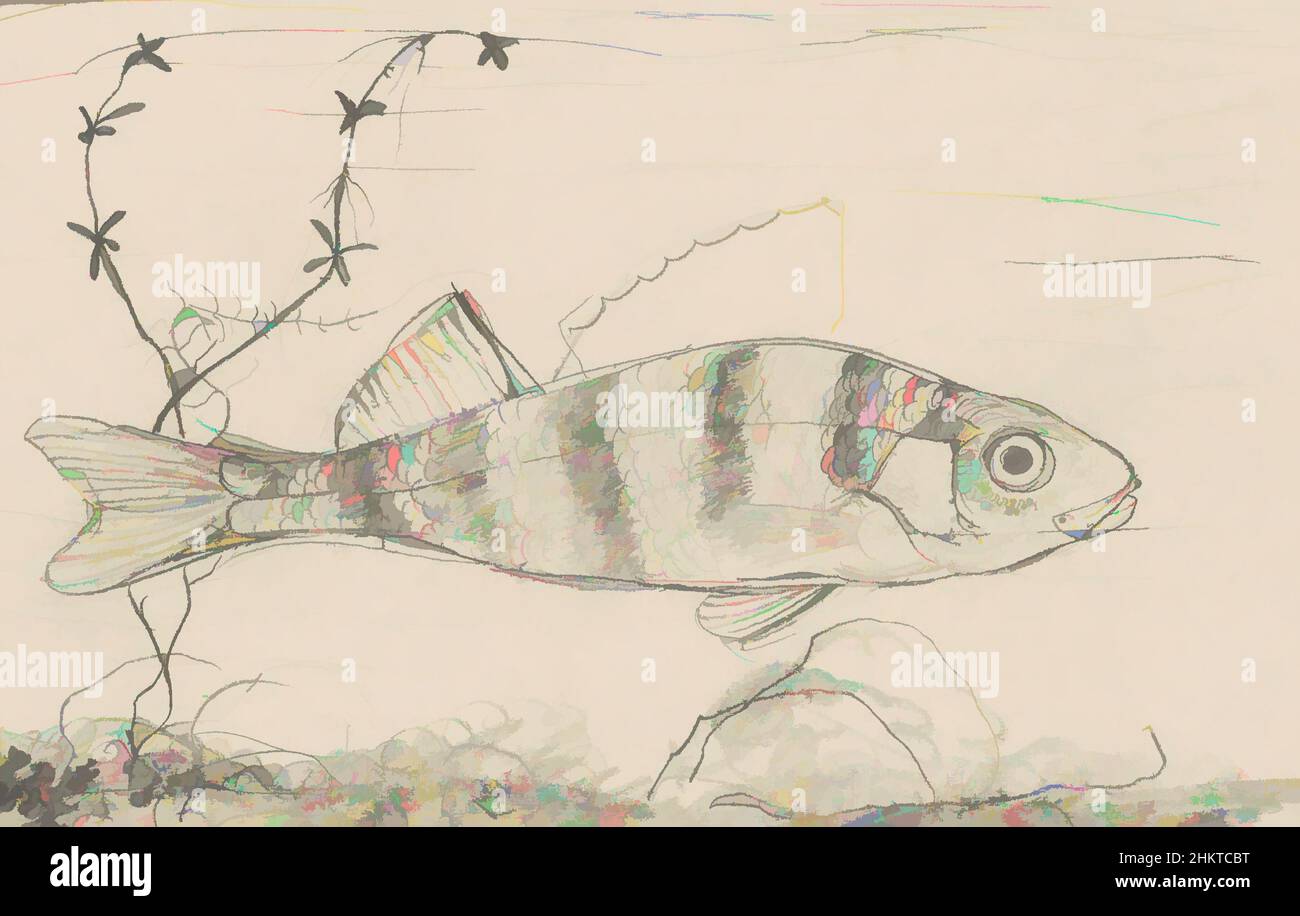 Art inspired by Young perch, swimming to the right, Classic works ...