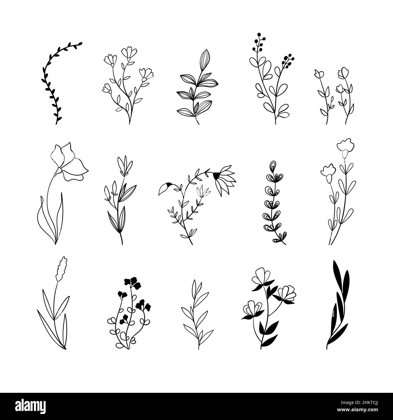 Set of Line Flowers and Plants in Black Isolated Stock Vector Image ...
