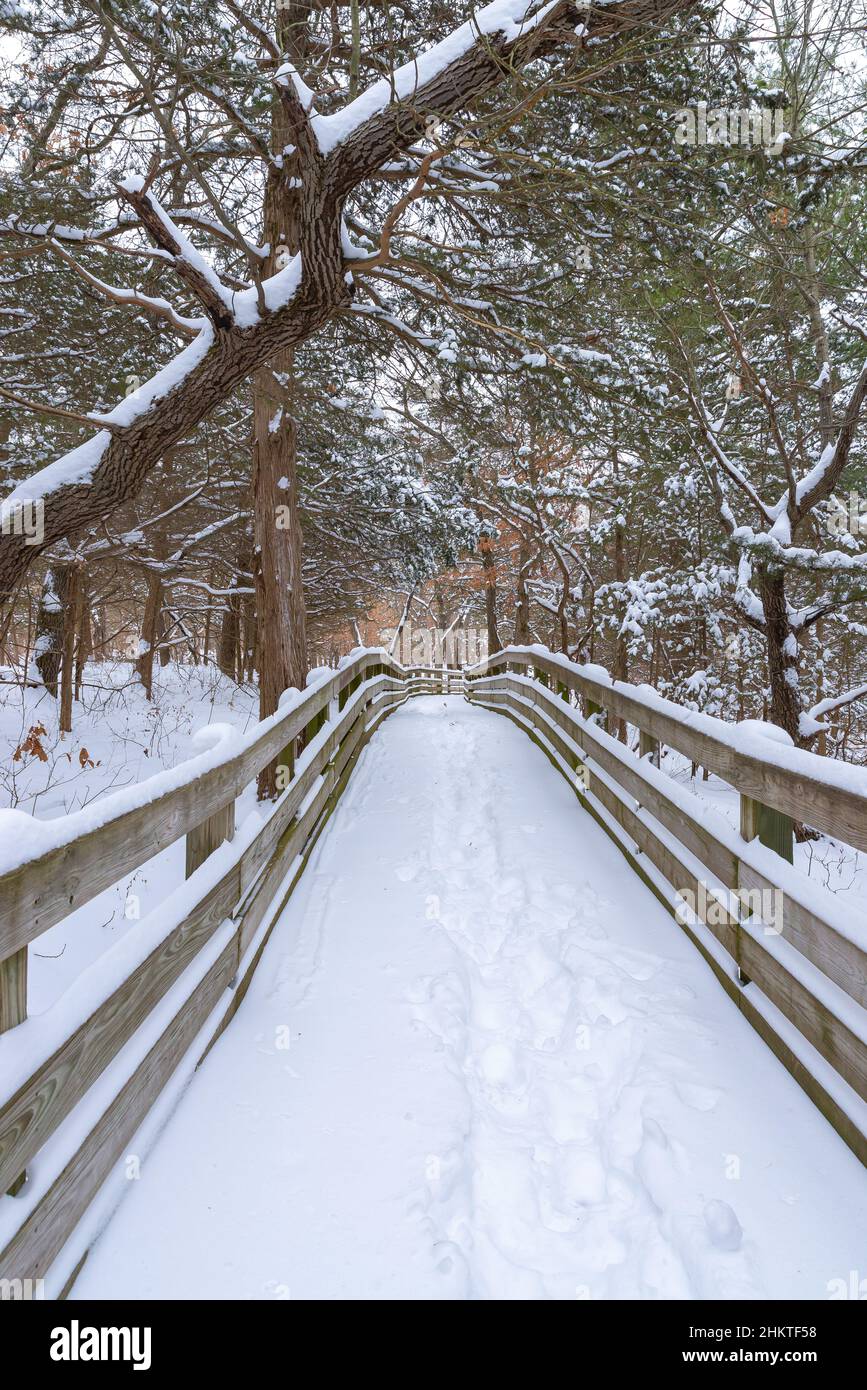 Wooden pathway along the snow covered landscape. Starved Rock State ...