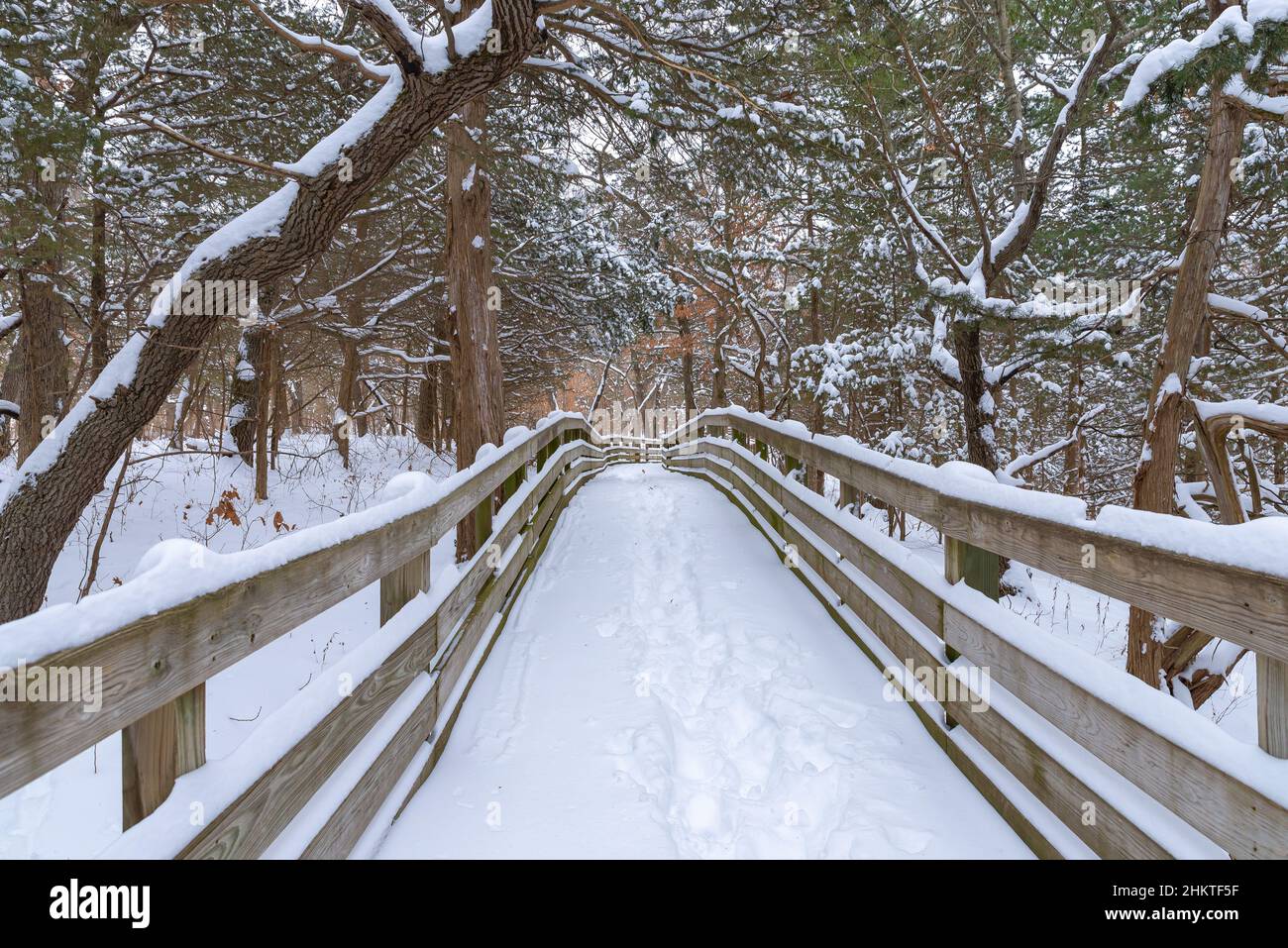 Wooden pathway along the snow covered landscape. Starved Rock State ...