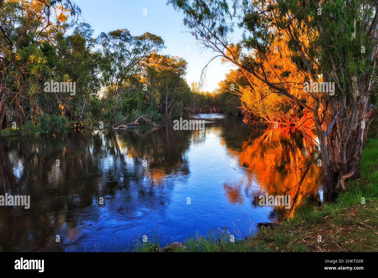 Australian landscape trees hi-res stock photography and images - Alamy