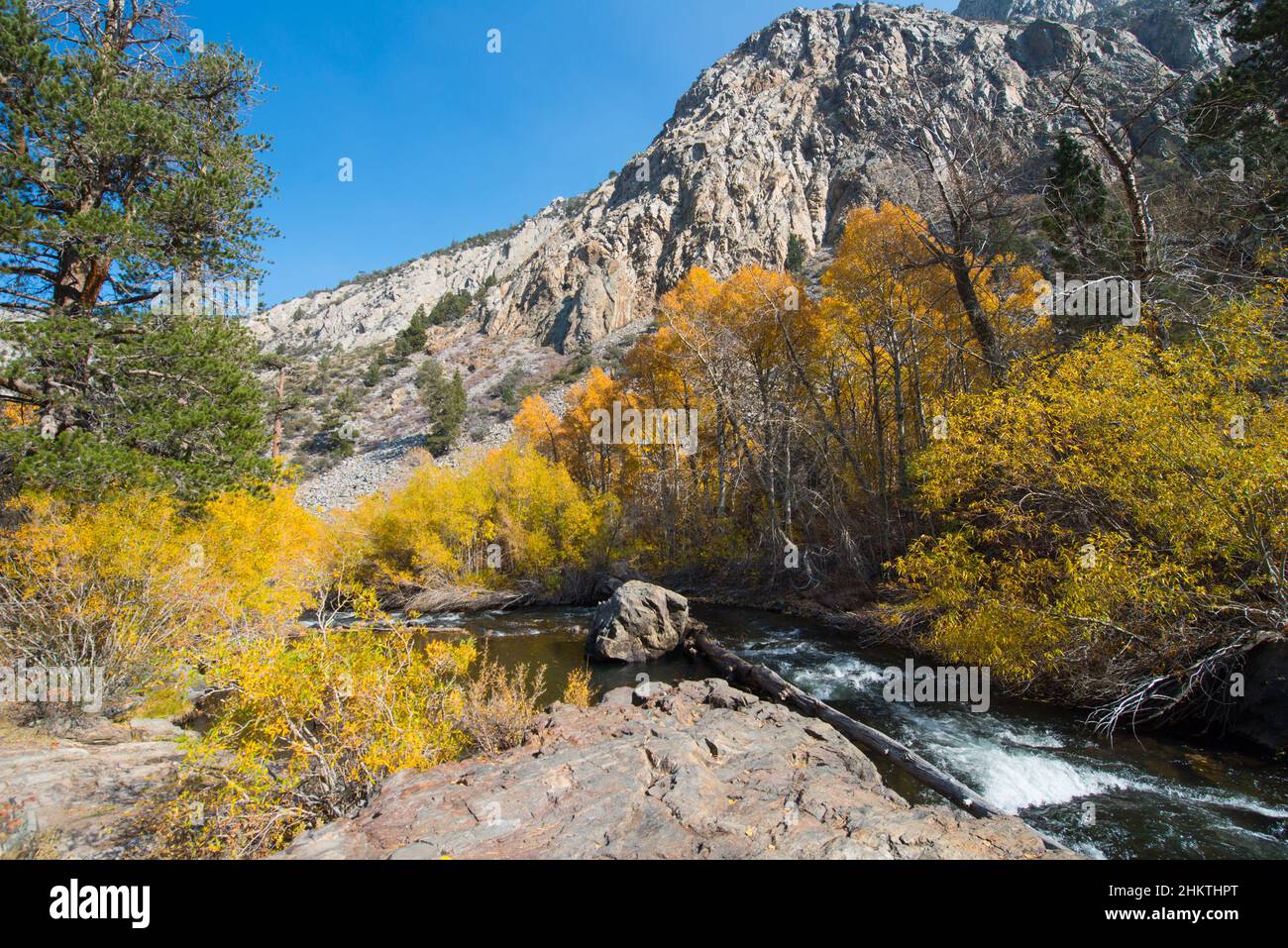 Mono lake fall colors hi-res stock photography and images - Alamy