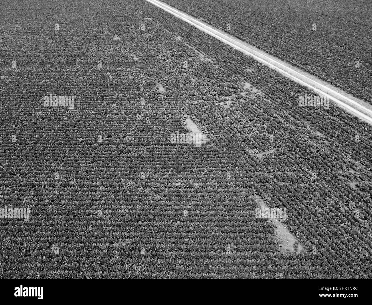 Aerial symmetry Black and White Stock Photos & Images - Alamy