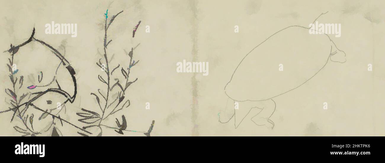 Art inspired by study of an animal with a shield, Animal between the ...