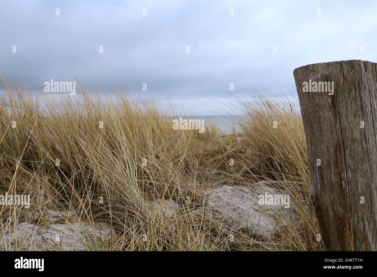 Ground-level photograph of a sand dune with a view of the sea Stock ...